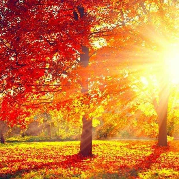 Overlijden Jan Esser - OBS De Wilgenstam